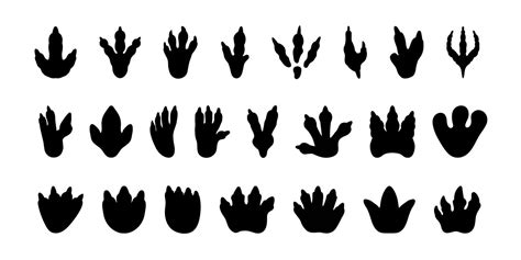 Dinosaur Footprint Black Dino Silhouette Fossil Paw Print Monster