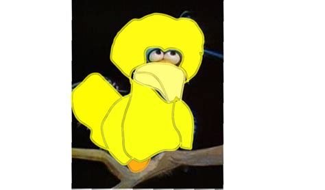 Ohboy Bird As Big Bird Fan Art Fun Wiki Fandom