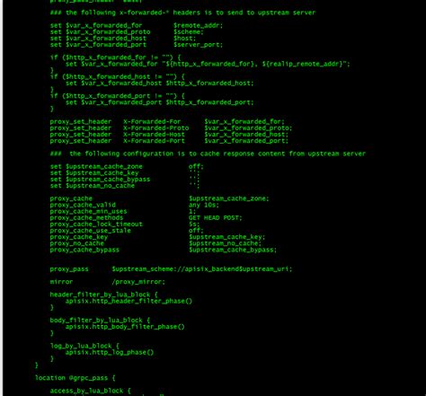 Bug Ths Request Header Append Apisix Upstream Port · Issue 1468