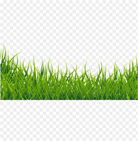 Free Vector Grass Png Clipart
