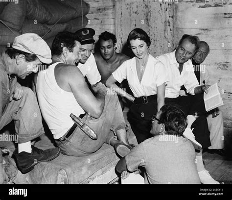 Nm Nm Forest Area N Of Albuquerque Sandoval County John Doe