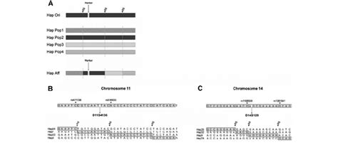 Representation Of The Indirect Approach Using Hapmap Data To Narrow Download Scientific Diagram