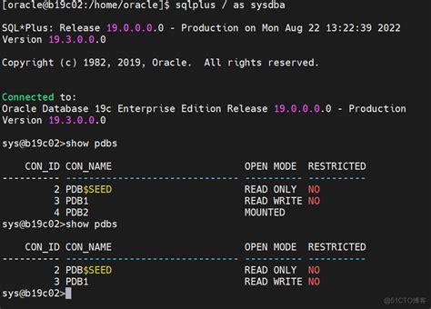 Oracle 19c 多租户 删除pdb 51cto博客 Oracle 多租户