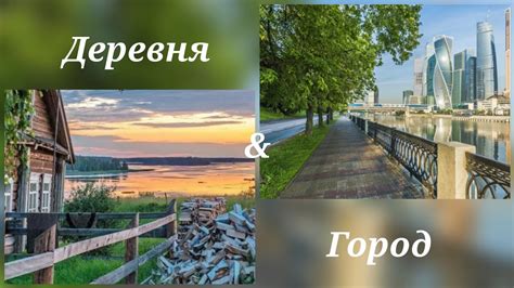 Варю камамбер, жалуюсь на жизнь Где лучше жить? - YouTube