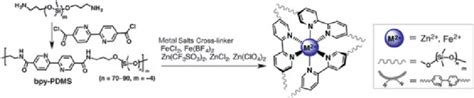 The Synthetic Route Of Polydimethylsiloxane Pdms Cross Linked Download Scientific Diagram
