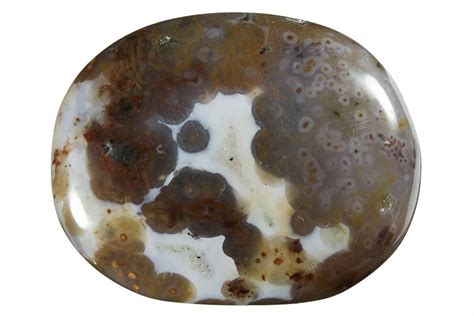 2 3 Polished Ocean Jasper Stone 239218 For Sale