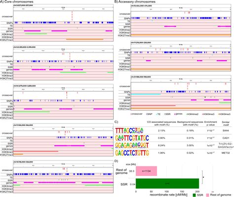 Repeat Induced Point Mutation And Gene Conversion Coinciding With