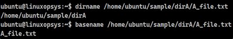 How To Get Directory Path In Bash