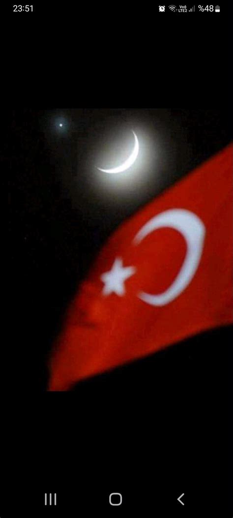 Eseniia Romonova Posted On Linkedin