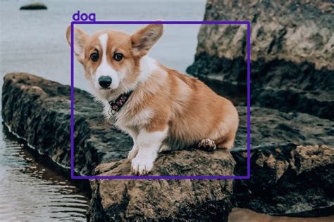 Github Sovit 123dinov3stack A Repository To Apply Dinov3 Models For Different Downstream