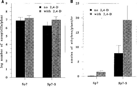 Total Number Of Bacteria A And Acetylene Reduction Activity B
