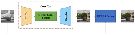 near infrared image colorization using asymmetric codec and pixel level