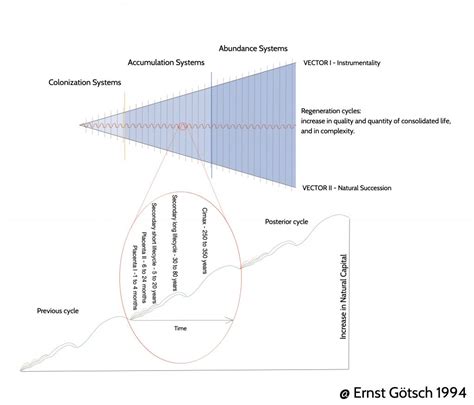 What Is Syntropic Farming Agenda Gotsch