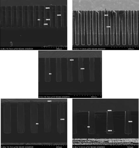 Sem Profile Of Sample Etch Results Download Scientific Diagram