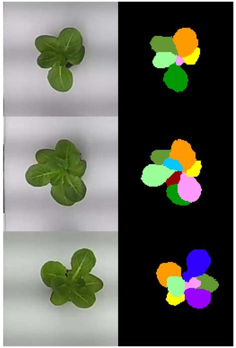 Ieie Spc Ieie Transactions On Smart Processing And Computing