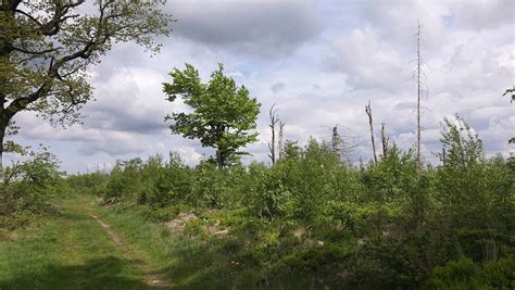 Höxteraner Kreistag Stimmt Gegen Einen Nationalpark In Der Egge Nwde