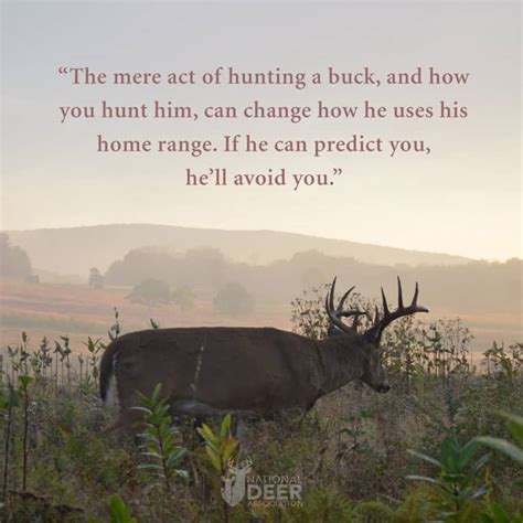 6 Facts You Need To Know About Buck Home Ranges And 1 You Dont