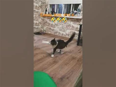 кульбит🤣 - YouTube