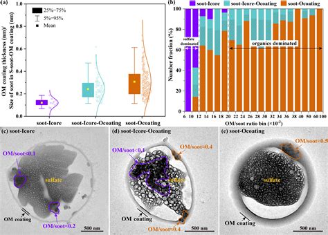 Acp Measurement Report New Insights Into The Mixing Structures Of Black Carbon On The Eastern