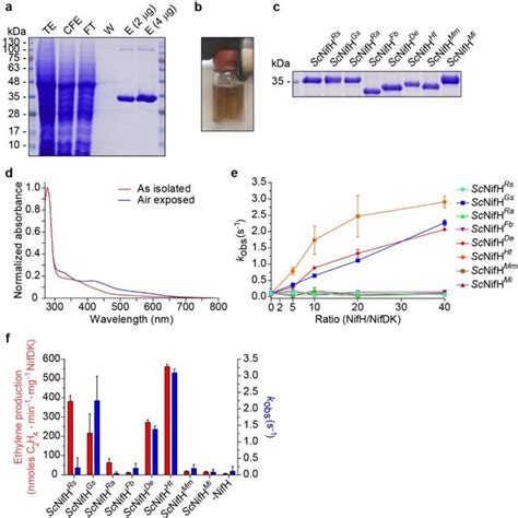 Schematic Overview Of Nitrogenase Activity And Activity Determination