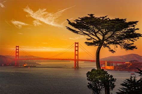 the evolution of buy now pay later navigating growth and challenges