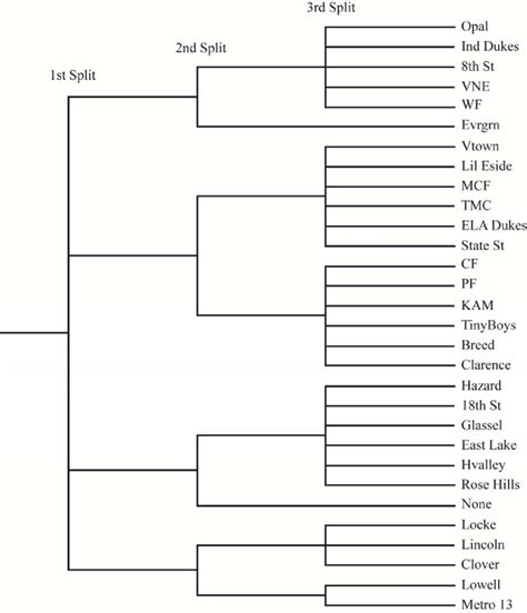 A Dendrogram Of The Concor Positional Analysis Process Through Three Download Scientific