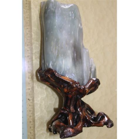 Tree Fossil From Myanmar Womens Fashion Jewelry And Organisers Precious Stones On Carousell