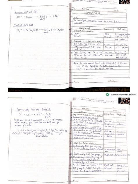 Chemistry Practical 6 10 Pdf