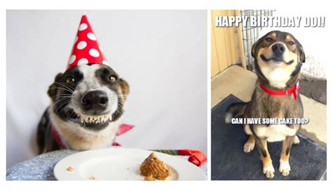 Happy Birthday Jessica 200 Funny Birthday Memes Birthday Memes