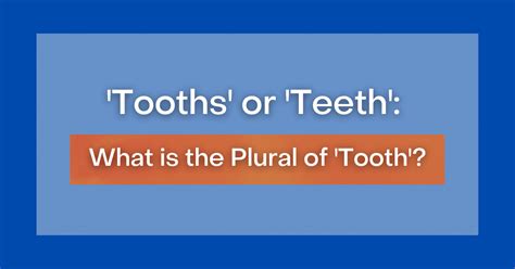 Tooths Or Teeth What Is The Plural Of Tooth