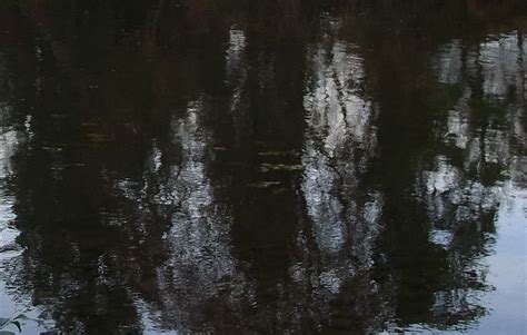 Reflections Part 2 Behance