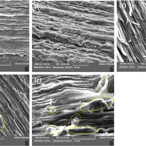 Surface Sem Micrographs Of Fractured Hdpe Att Nanocomposites With Download Scientific Diagram