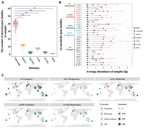 Asgenedb For Functional Profiling Of As Metabolism In Metagenomes From