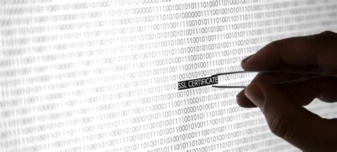 Get An SSL Certificate Today Are Your Sockets Secure MB