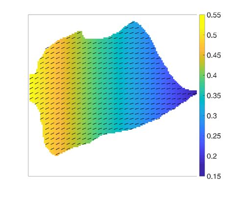 representative example of spatial distribution of the fiber angular