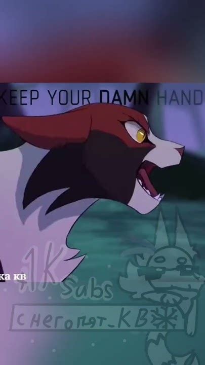 Кленовница коты воители котывоители кленовница эдит хочу2кподписчиков Youtube