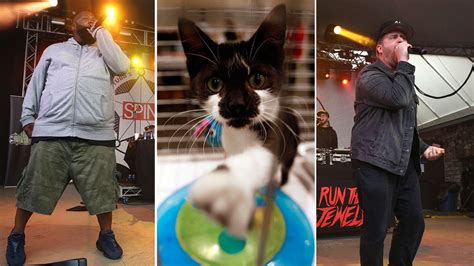 Rapduo Släpper Kattalbum Svt Nyheter