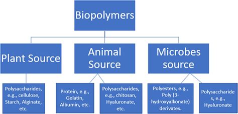 Polysaccharides Based Biopolymers For Biomedical Applications A Review Jabeen 2024