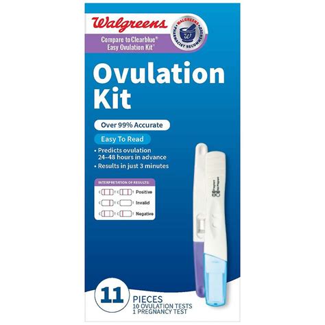 Ovulation And Pregnancy