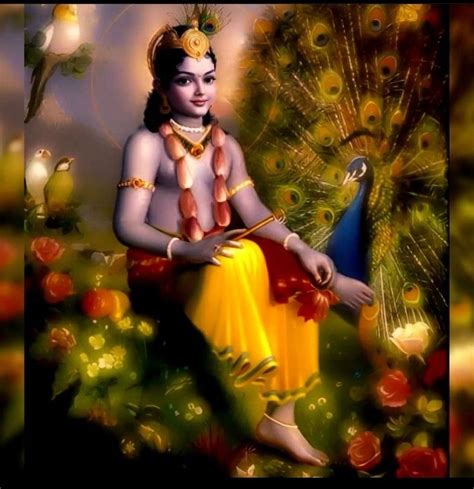 Pin By मेरे बिहारीजी On Krishna Conscious Radha Krishna Art Krishna