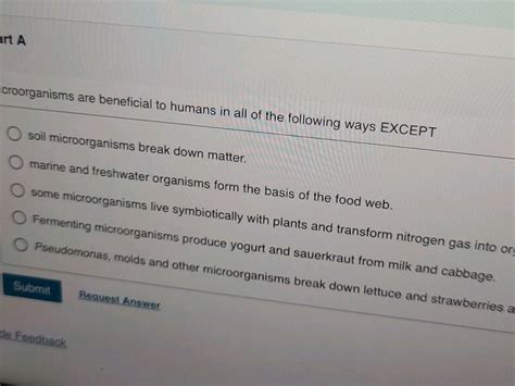 Microorganisms Are Beneficial To Humans In Studyx