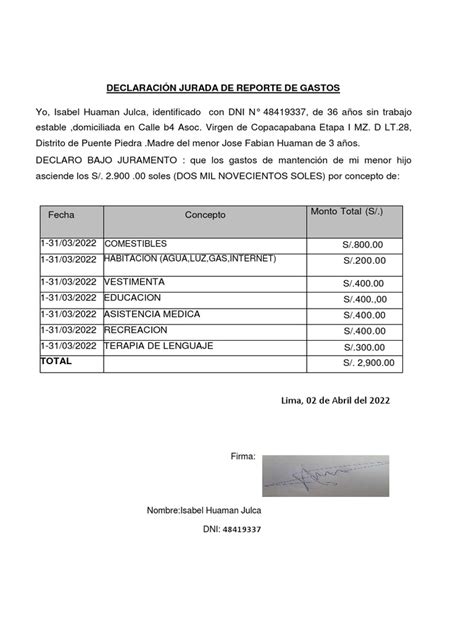 Declaracion Jurada De Gastos 2 Pdf