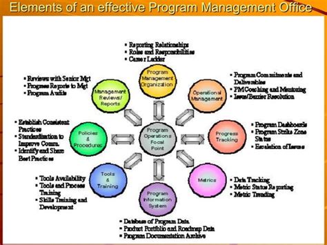 Project Management Vs Program Management Strategies For Transition Success Pptx Business