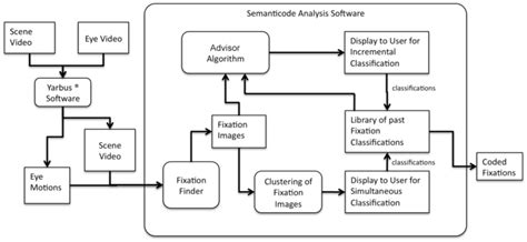 Data Processing Pipeline 4 Data Analysis What Do People Look At Download Scientific Diagram