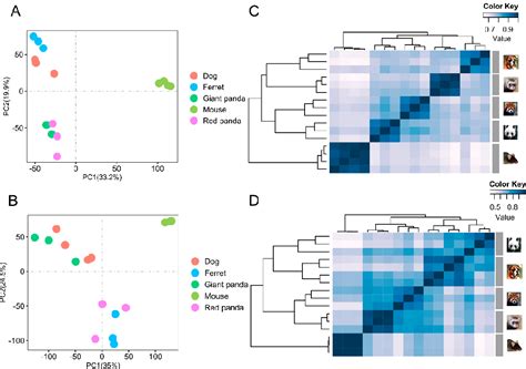Figure 1 From Comparative Transcriptomics And Methylomics Reveal