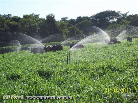 Projeto de Irrigação em São Paulo SP à venda Compre direto 151734