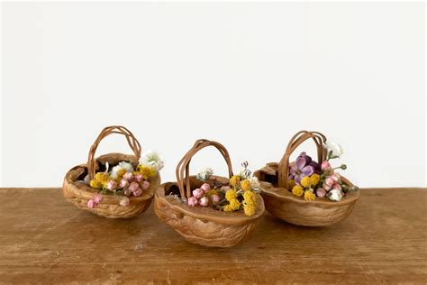 Diy Mini Fairy Garden Walnut Shell Baskets Woodlark Blog