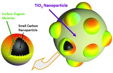 Cartoon Illustration On C Tio2 Hybrid Dots Right With The Entities Download Scientific