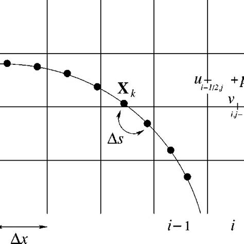 Typical Eulerian And Lagrangian B Meshes Download Scientific Diagram
