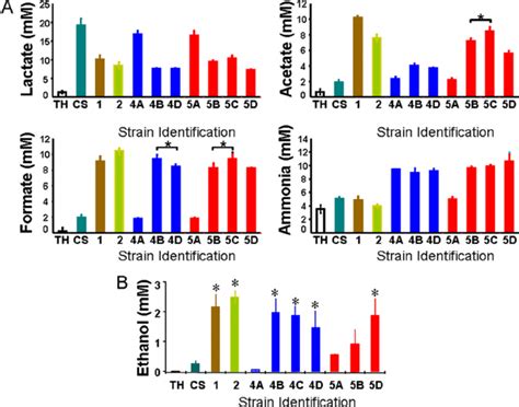 Survivor Strains Showed Metabolic Heterogeneity In Exponential Phase